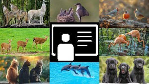 funmail2u - kostenlos jeden Tag mit Fun beliefert werden